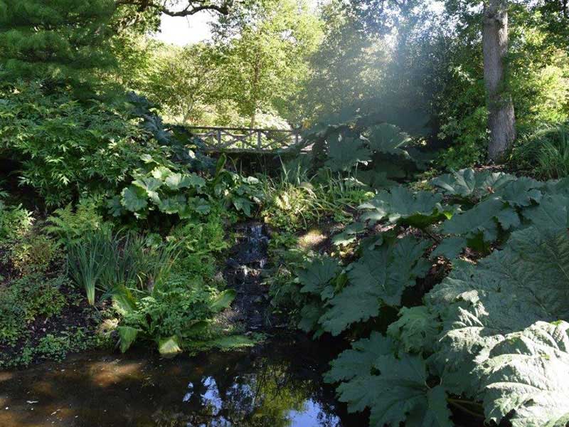 Shade Gardens - inspiration for the shady areas in your garden